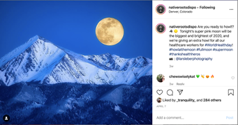 12 Inspiring Cannabis Retail Instagram Accounts to Follow