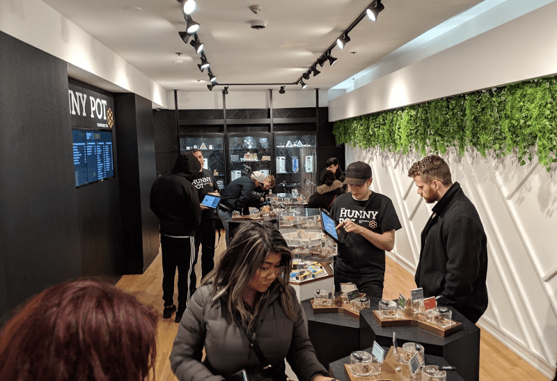 12 Must See Cannabis Retailers in Ontario
