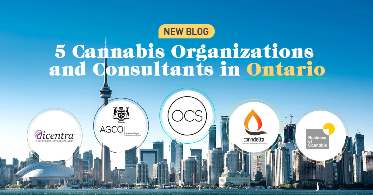 5 Cannabis Organizations and Consultants in Ontario You Should Know