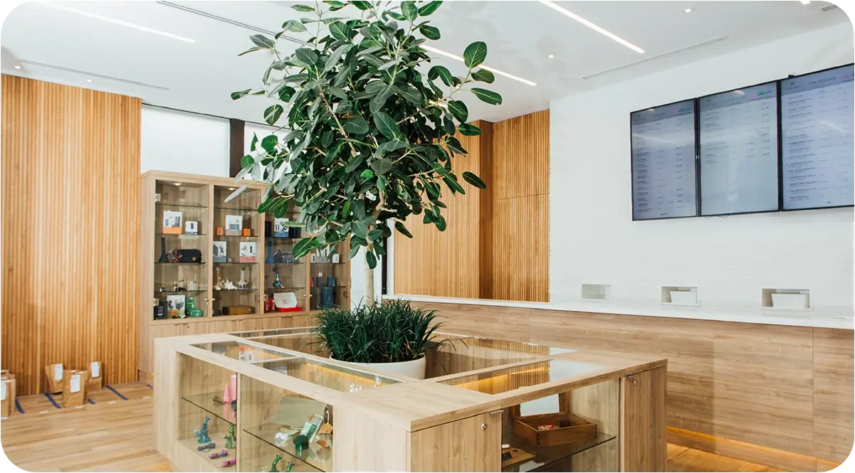 Modern Cannabis Dispensary Design Ideas and Floor Plans