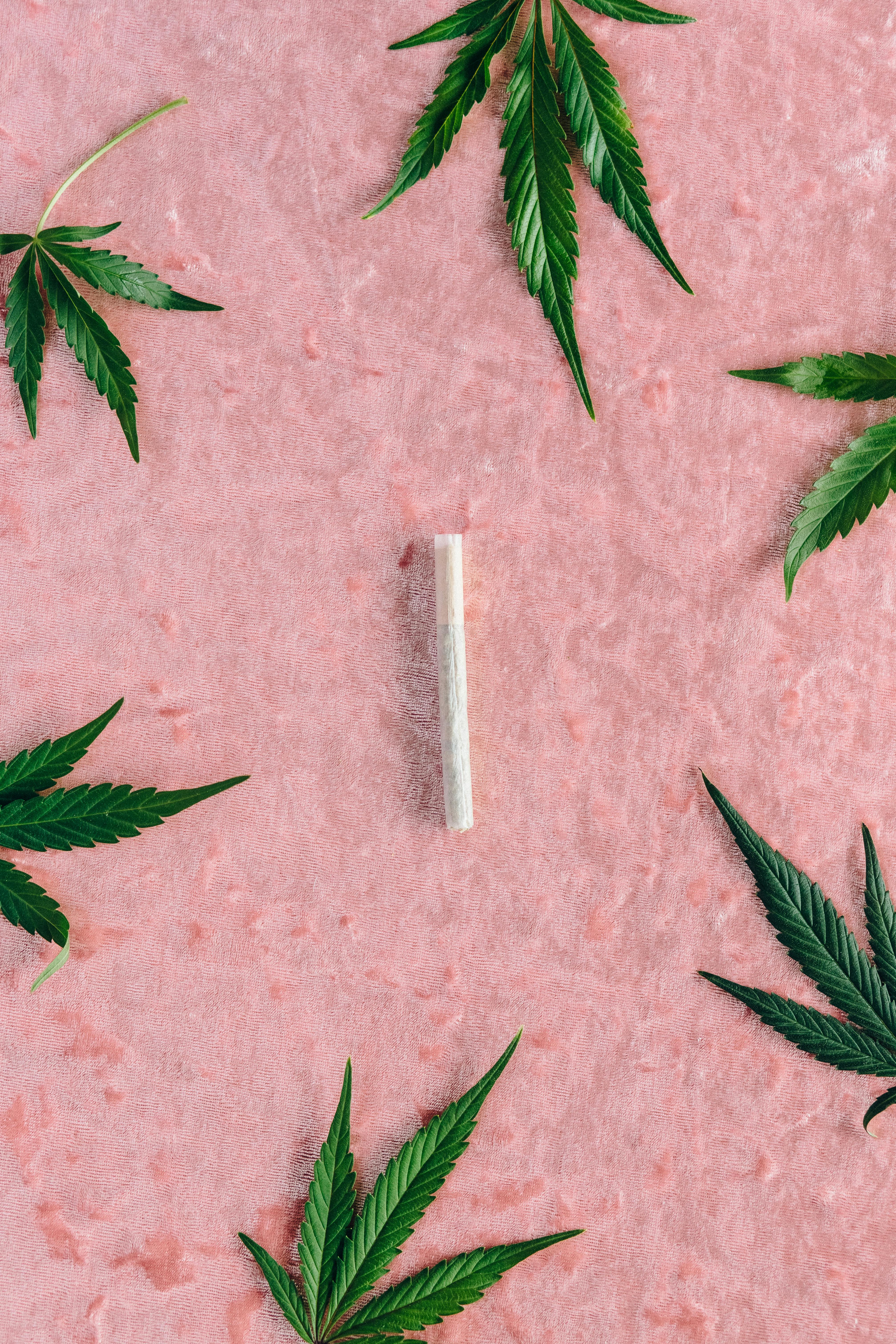 Texas Hemp COA Storage & Expiration Tracking SOP